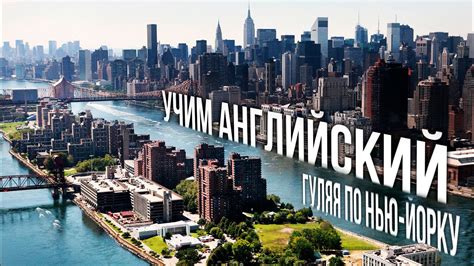 5 УРОК КОНСТРУКЦИЯ To Have ОБЛАДАНИЕ ИСЧИСЛЯЕМЫЕ И НЕ ИСЧИСЛЯЕМЫЕ