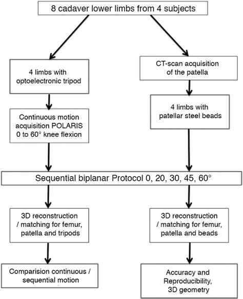 Figure 5 From Sequential 3d Analysis Of Patellofemoral Kinematics From
