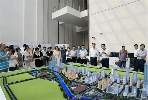 聚焦产业结构调整转型，宝山区政协开展委员年中视察澎湃号·媒体澎湃新闻 The Paper