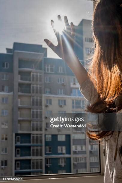 Window Shield Photos And Premium High Res Pictures Getty Images