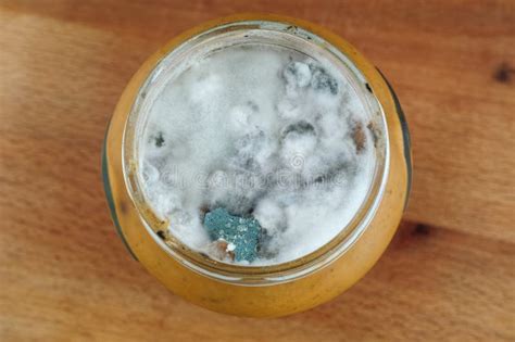 Moho Que Crece En Un Frasco Con Comida Foto De Archivo Imagen De Malo