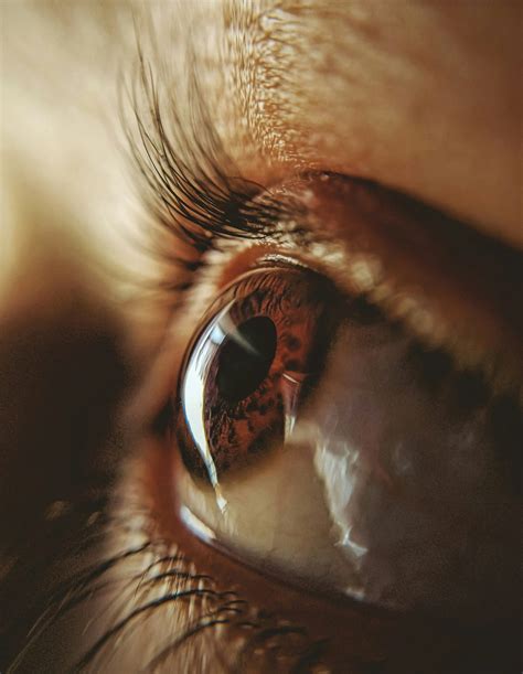 Are The Eyes The Window To The Soul Awakening Souls