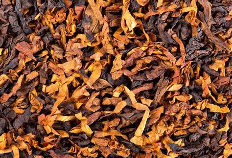 Tobacco Background Images Free Download On Freepik