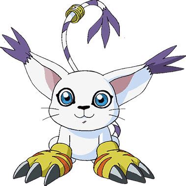 Gatomon Adventure Digimon Wiki Go On An Adventure To Tame The