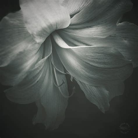 Derek Pritchard Derek Idol Images • Instagram Photos And Videos