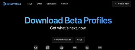 Cómo instalar la beta para desarrolladores de iOS 18 iPadOS 18 o