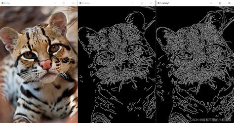 机器视觉——opencv案例分析基础（七）（边缘检测和图像轮廓查找）opencv 图片与背景比较接近找轮廓 Csdn博客