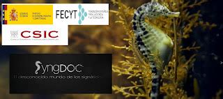 PROYECTO HIPPOPARQUES Proyección documental SyngDoc en Cimasub