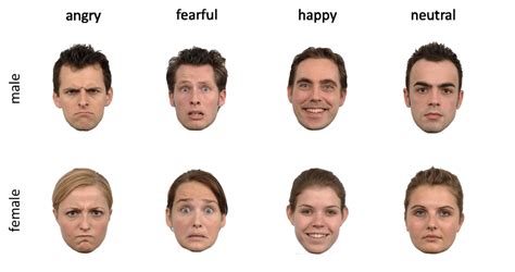 Stimuli Examples Of Faces Download Scientific Diagram
