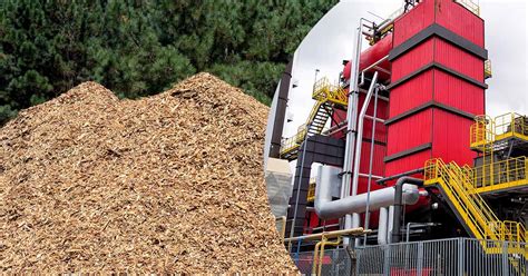Caldeira A Biomassa Qual é A Vida útil Desse Equipamento Burntech