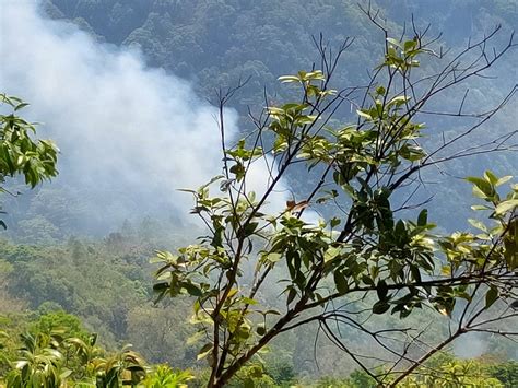 ในประเทศ แม่ฮ่องสอนยังไม่พ้นวิกฤติ หมอกควันไฟป่ายังปกคลุมหนัก