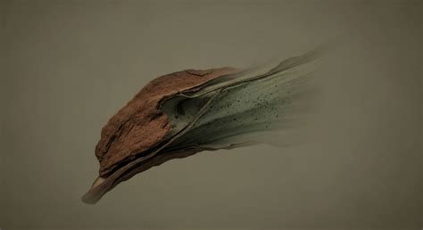 Biological Contamination → Term