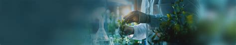 Plant Rna Sequencing Lexogen