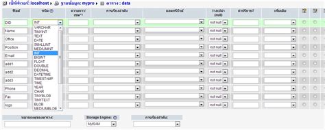 php mysql ชนิดข้อมูลที่เป็นตัวเลข ถ้าจะให้มันเป็น autonumber ต้องเลือก