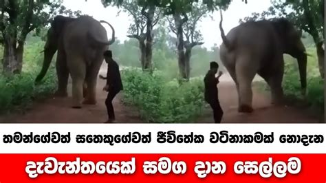 තමන්ගේවත් සතෙකුගේවත් ජීවිතේක වටිනාකමක් නොදැන දැවැන්තයෙක් සමග දාන සෙල්ලම Youtube