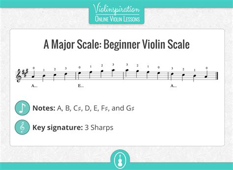 Violin Scales The 5 Most Commonly Used Violin Scales Violinspiration
