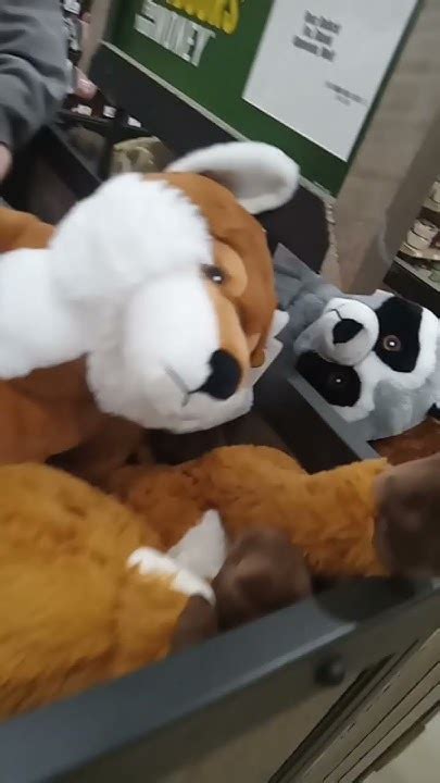 Cute Stuffys Youtube