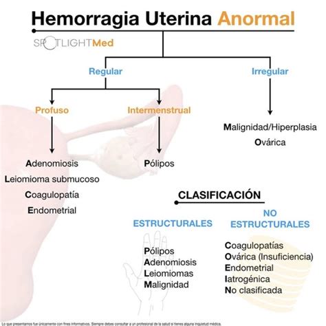 Hemorragia Uterina Anormal Quizlet
