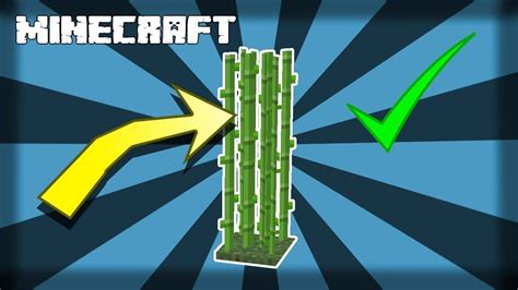 Sugar Cane Farm ლერწმის ფერმა Youtube