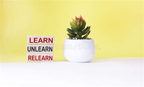 Learn Unlearn Relearn Abstract Words On Wooden Blocks With Cactus Flower And White And