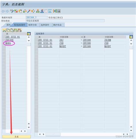 sap abap 视图 abap 视图 csdn博客