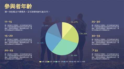 網站流量來源餅圖 餅圖 Template