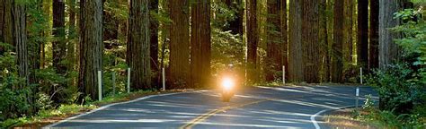 Navarro River Redwoods State Park Ca State Parks Outerspatial