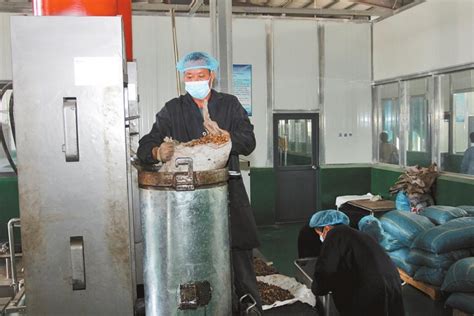景东县入选绿水青山就是金山银山实践创新基地生态价值持续彰显 保护发展质量更高