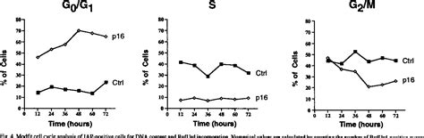 Figure 4 From Design Of A Novel Bicistronic Expression Vector With Demonstration Of A P16ink4