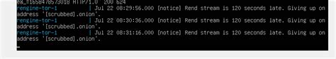 Bug Scrubbed Onion Issue Yogeshojha Rengine Github