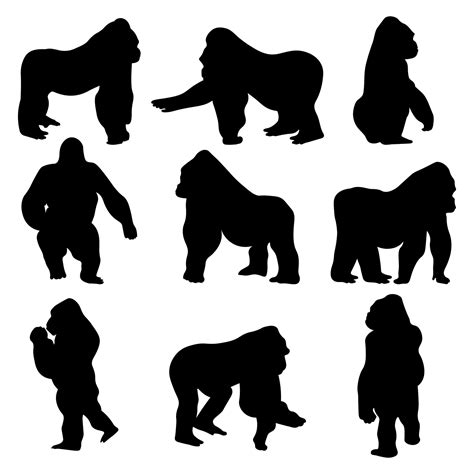 Gorilla Silhouettes Vector Illustration Set Eps 24453298 Vector Art At