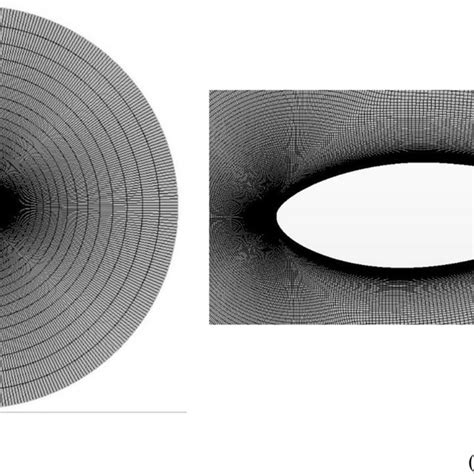 structured mesh generated around the airfoil a general view b