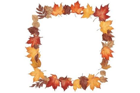 Autumn Leaves Frame Png Graphic By Forhadx5 · Creative Fabrica
