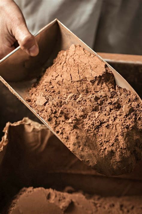 Natural Vs Dutch Processed Cocoa Powder Artofit