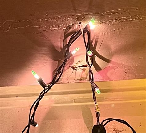 Eldrich Horror Rwhatbugisthis