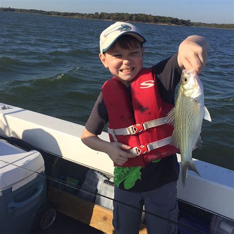 Sand Bass Fishing Lake Ray Roberts Lake Ray Roberts Fishing Guides