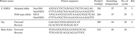 Primer Sequences And Protocols For Pcr Analysis Download Scientific