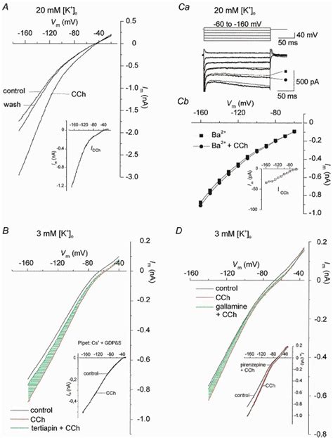 Cch Induced Girk Current In Voltage Clamped Ca1 Pyramidal Neuronsa In