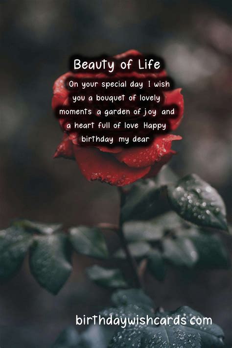 Birthday Roses Quotes 430 Romantic Birthday Quotes Stock