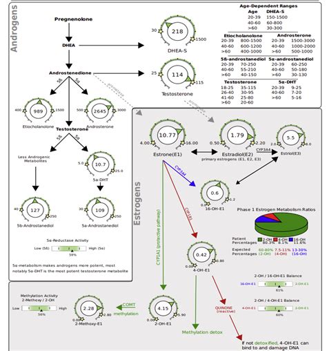 Precision Analyticaldutch Sex Hormone Panel Paola Decicco Nd