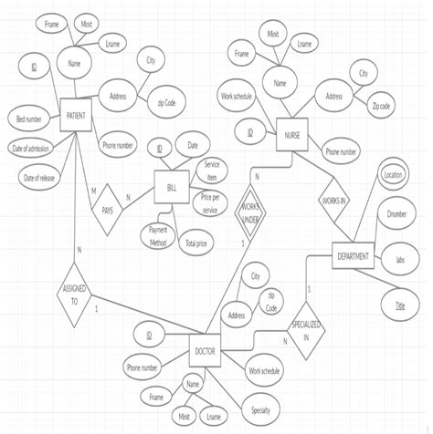 Solved Create Constraints Domain Constraints Entity Chegg