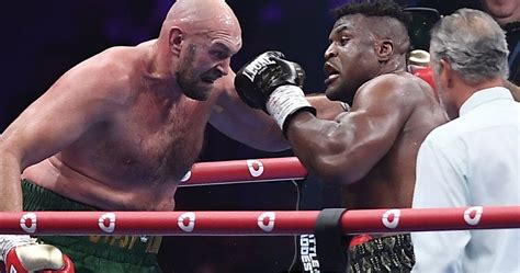 How Can Wbc Champ Tyson Fury Face Francis Ngannou World Boxing News😯