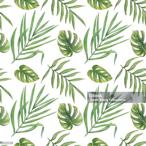 열대 잎 수채화 완벽 한 패턴 흰색 배경에 고립 손으로 그린 몬스테라 Philodendron 벽지 섬유 디자인 포장 여름 장식을위한 Areca 야자수 잎 그림 0명에 대한