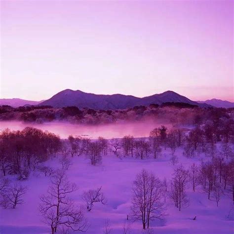 我的名字叫丹尼斯 作者：章鱼爸爸众人男孩