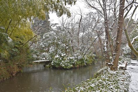 武者小路実篤記念館公式 On Twitter 【実篤公園の 雪景色 】しんしんと 雪 が降り積もる静寂の世界。園内はすっかり 雪化粧