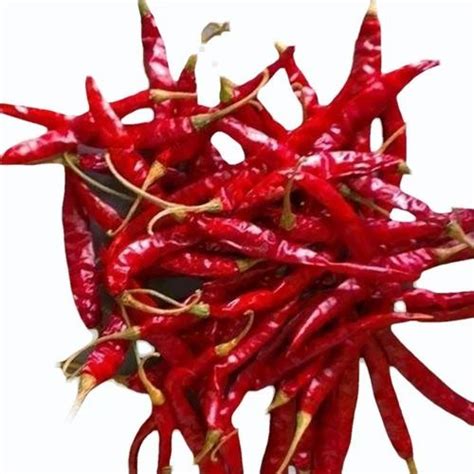 S17 Teja Red Chilli Packet 1 Kg At ₹ 185kg In Mumbai Id 2852960073133