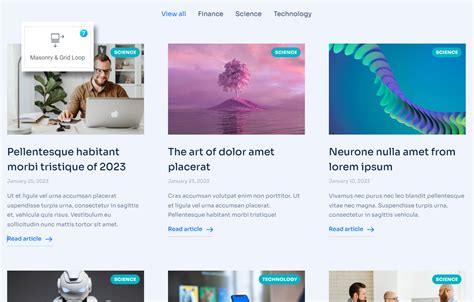 Masonry And Grid Loop The7 Elementor