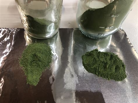 Avari Microalgae — Avari Labs