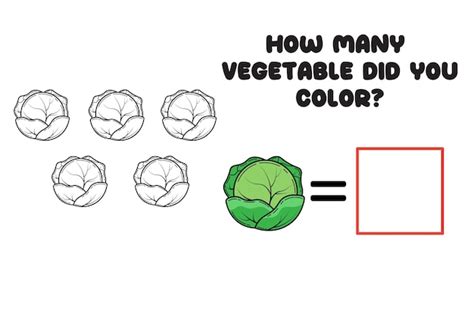 Premium Vector Counting Book Cabbage