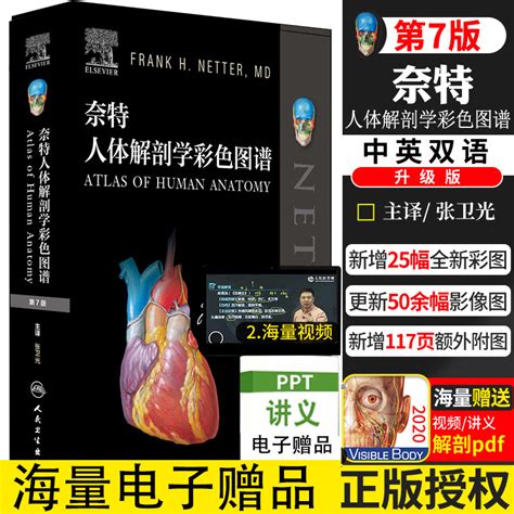 奈特人体解剖学彩色图谱 第7七版 翻译新版临床医学外科学教材书局部系统解刨学解破学书籍人卫图鉴正常医学全彩格氏耐特基础法医